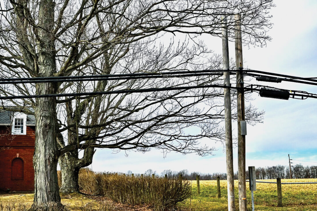 Identifying trees likely to trigger blackouts | News, Sports, Jobs ...